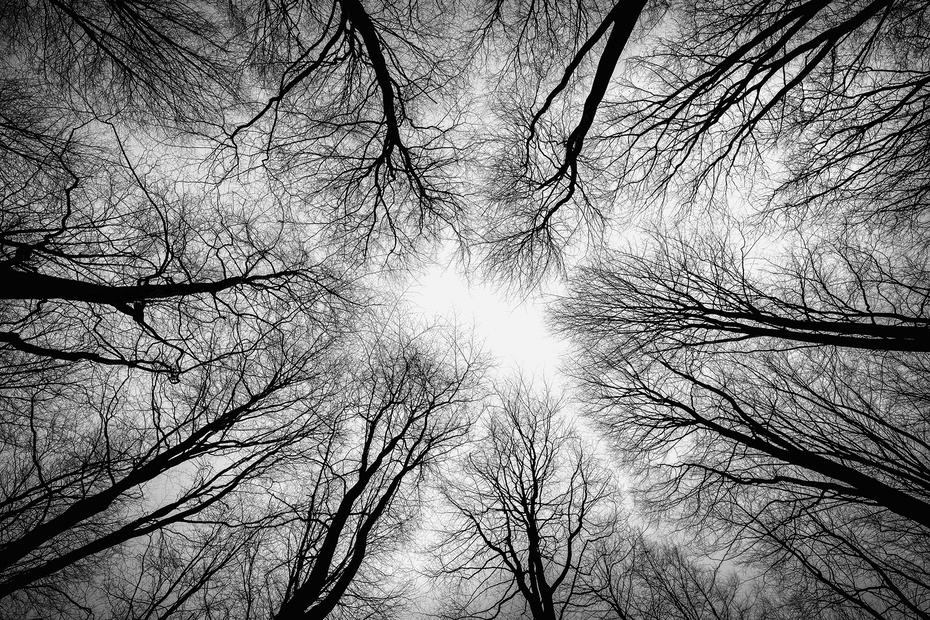 Richard Thomas Fine Art photography